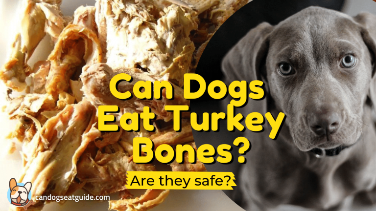 Can Dogs Eat Sausages? Better To Be Avoided? [2024 Guide]