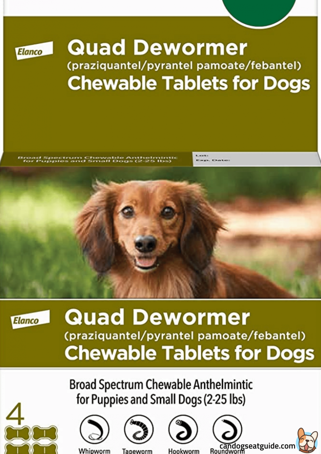 3 BEST Dewormers for Dogs? [Guide to a Healthy Dog]