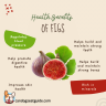 Can Dogs Eat Figs? 6 Benefits & 3 Risks - Is It Safe Or No?